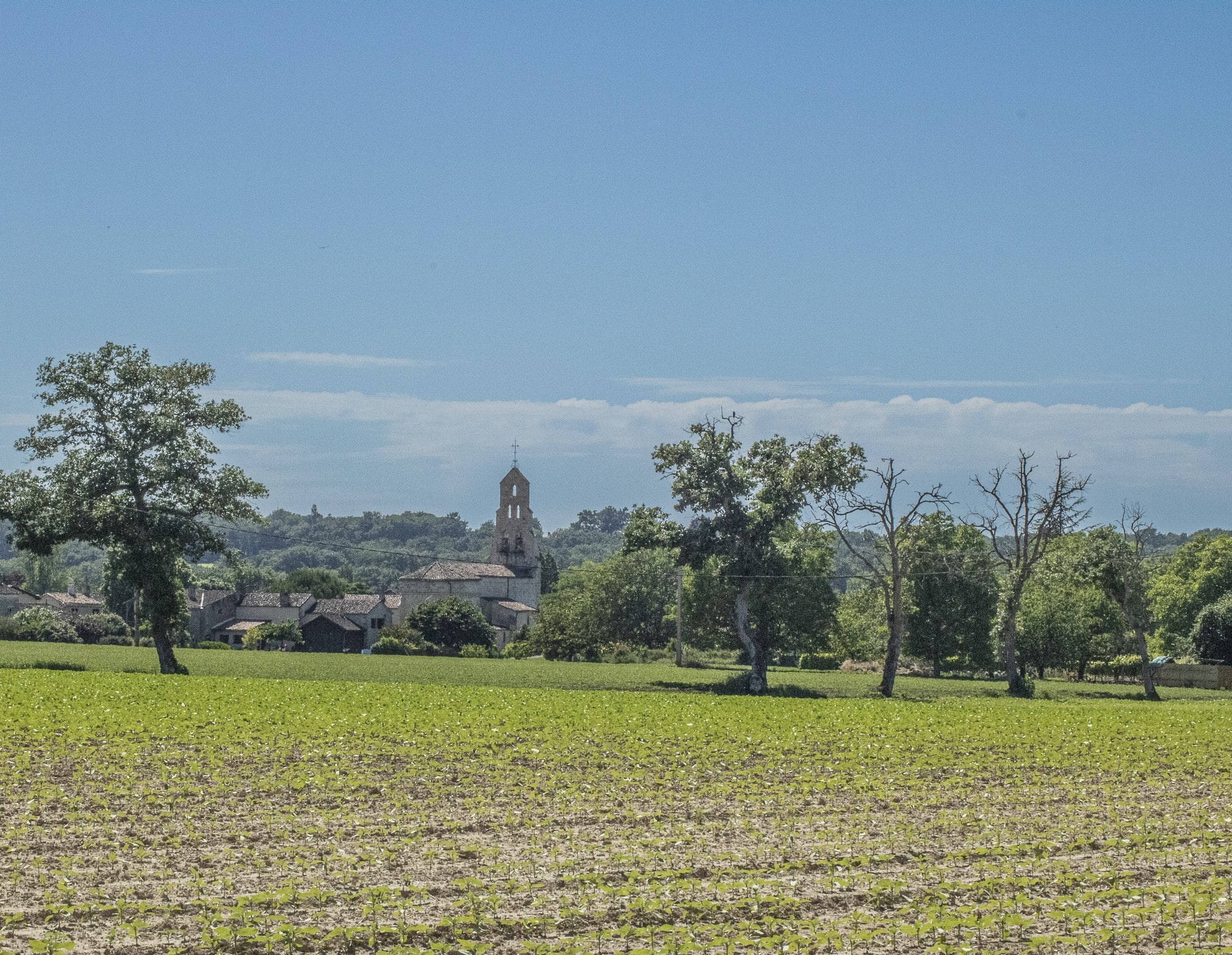 Lannes et Villeneuve de Mézin - Albret Tourisme